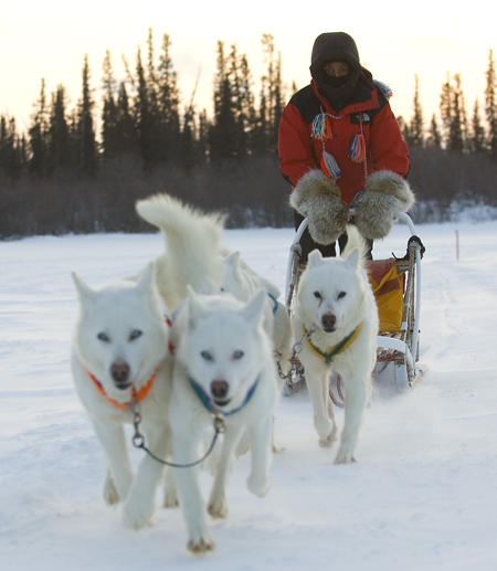Visit to Tuktoyaktuk | The Governor General of Canada