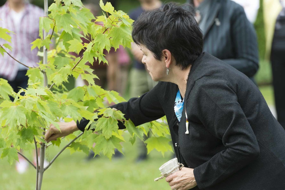 Ceremonial Planting of the Regal Celebration Maple Tree | The Governor ...