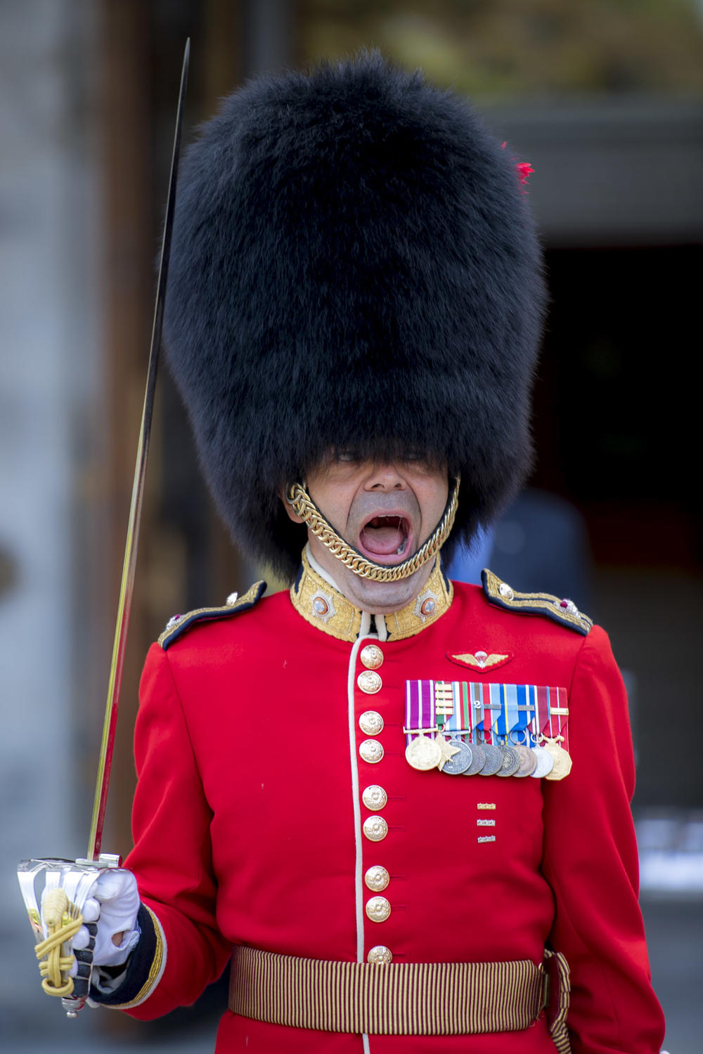 Inspection of the Ceremonial Guard | The Governor General of Canada