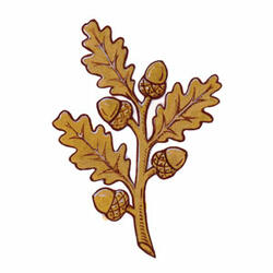 David Codack | The Governor General of Canada